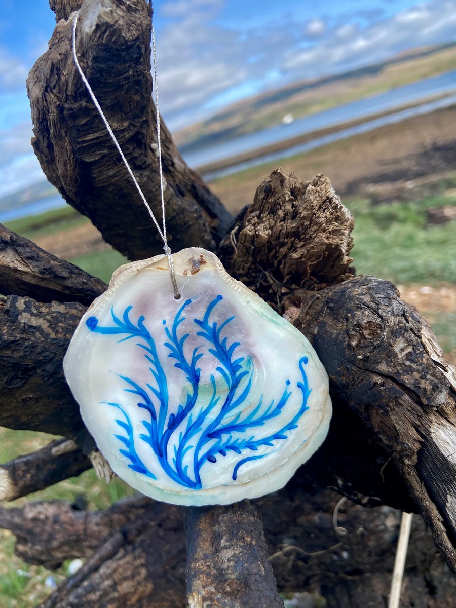 Hand painted oyster shell from an Argyll beach.... - Folksy