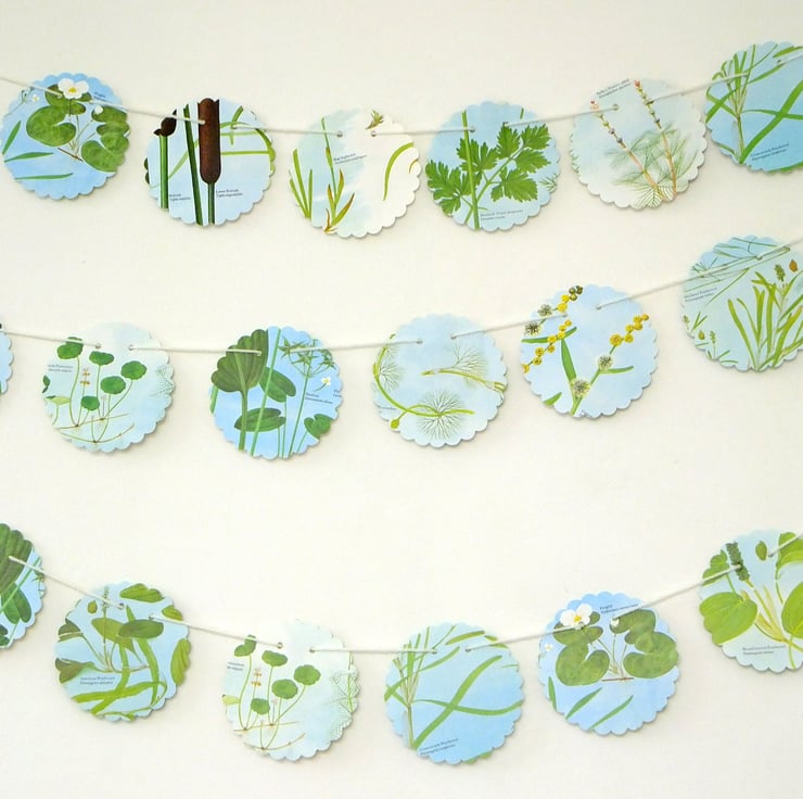 Botanical Bunting - Folksy