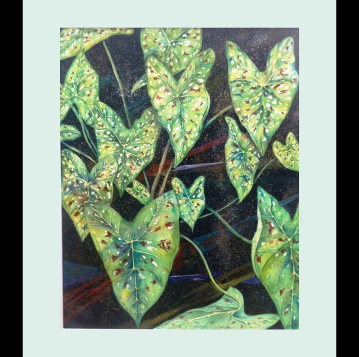 Green Caladium Leaves Tropical Plant Botanical... - Folksy