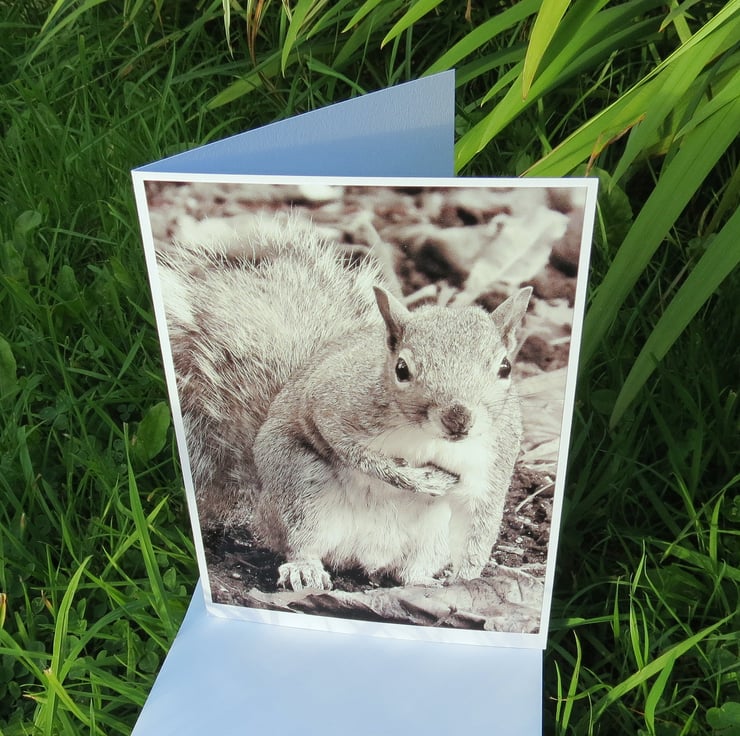 Eye Spy. A set of two cards, each featuring an... - Folksy