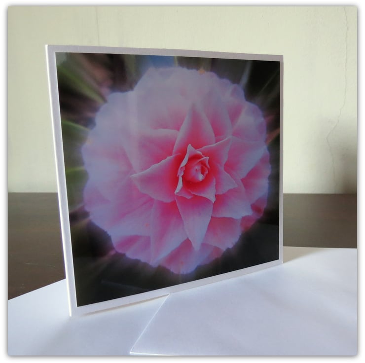 In the pink. A blank Greetings card featuring... - Folksy