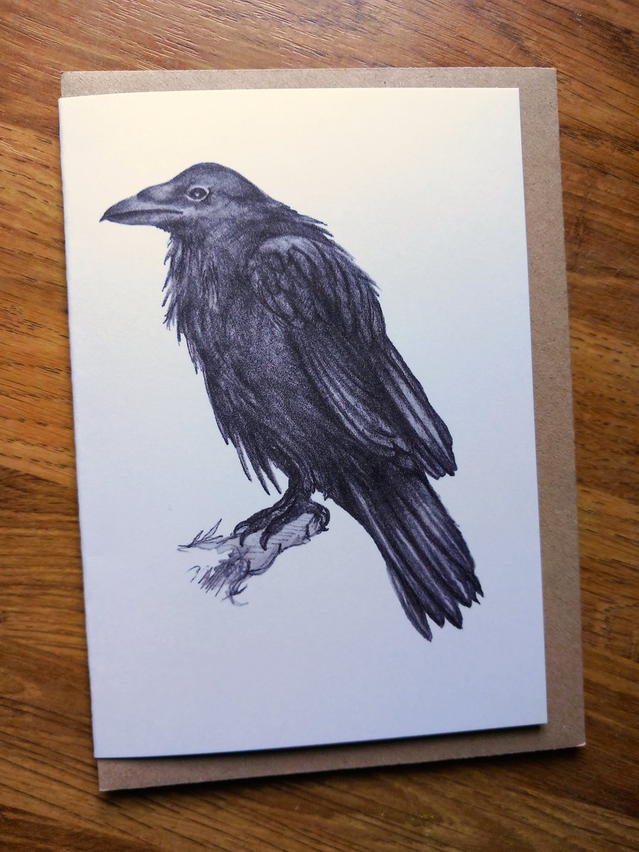 Young Raven Greeting Card - Folksy