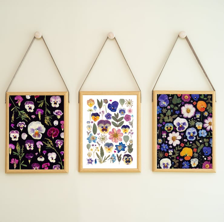 Pressed Flower Art Print A5 Small Art Print Flo... - Folksy