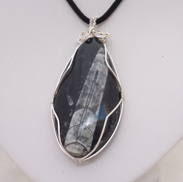 Fossil Pendant, Fossil Wire Wrapped Pendant, Fo... - Folksy
