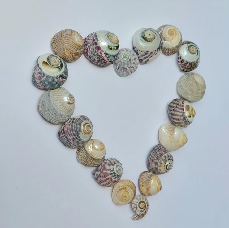 Cornish shell heart - Folksy