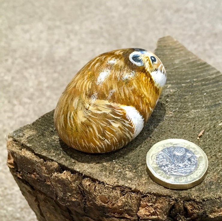Hamster hand painted pebble garden rock art pet... - Folksy