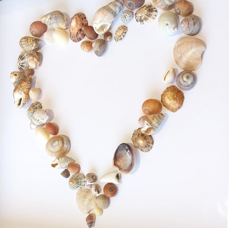 Cornish mixed shell heart framed wall art - Folksy