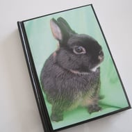 Bunny Notebook - Folksy