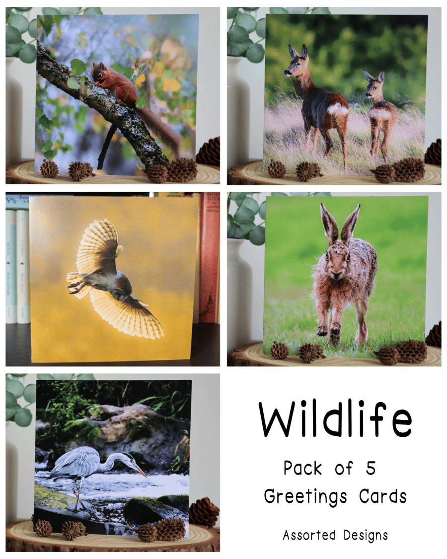 Wildlife - Pack of 5 Greetings Cards - Assorted... - Folksy