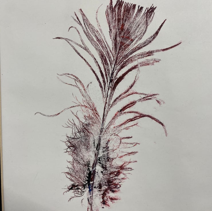 deep red feather, original art Monoprint. gift ... - Folksy