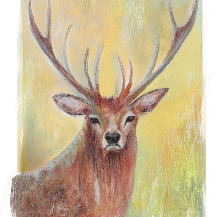 Fine art print Stag painting - Folksy
