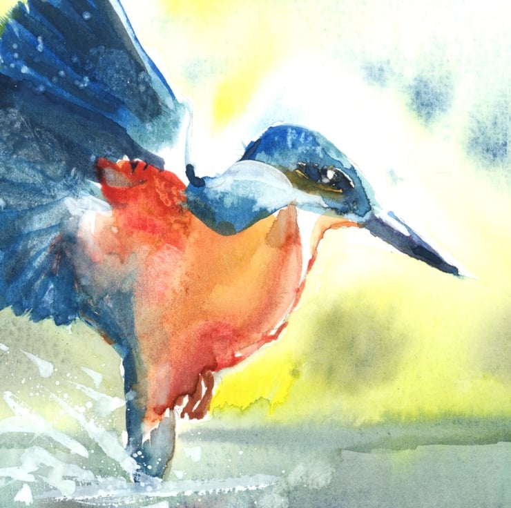 Kingfisher - Limited Edition Print - Folksy