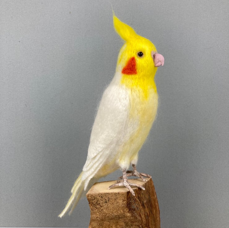 White needle felted cockatiel - Folksy