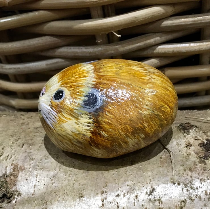 Hamster hand painted pebble garden rock art wil... - Folksy