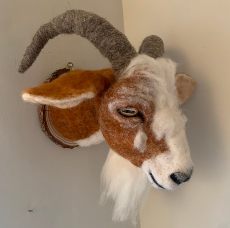 Handmade Faux Taxidermy Goats Head - Folksy