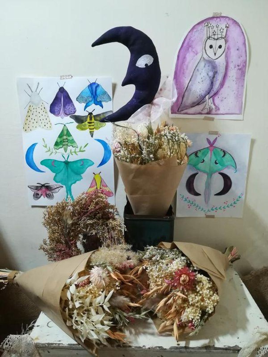 Moon flower display, dried flower bunch, cosmic... - Folksy