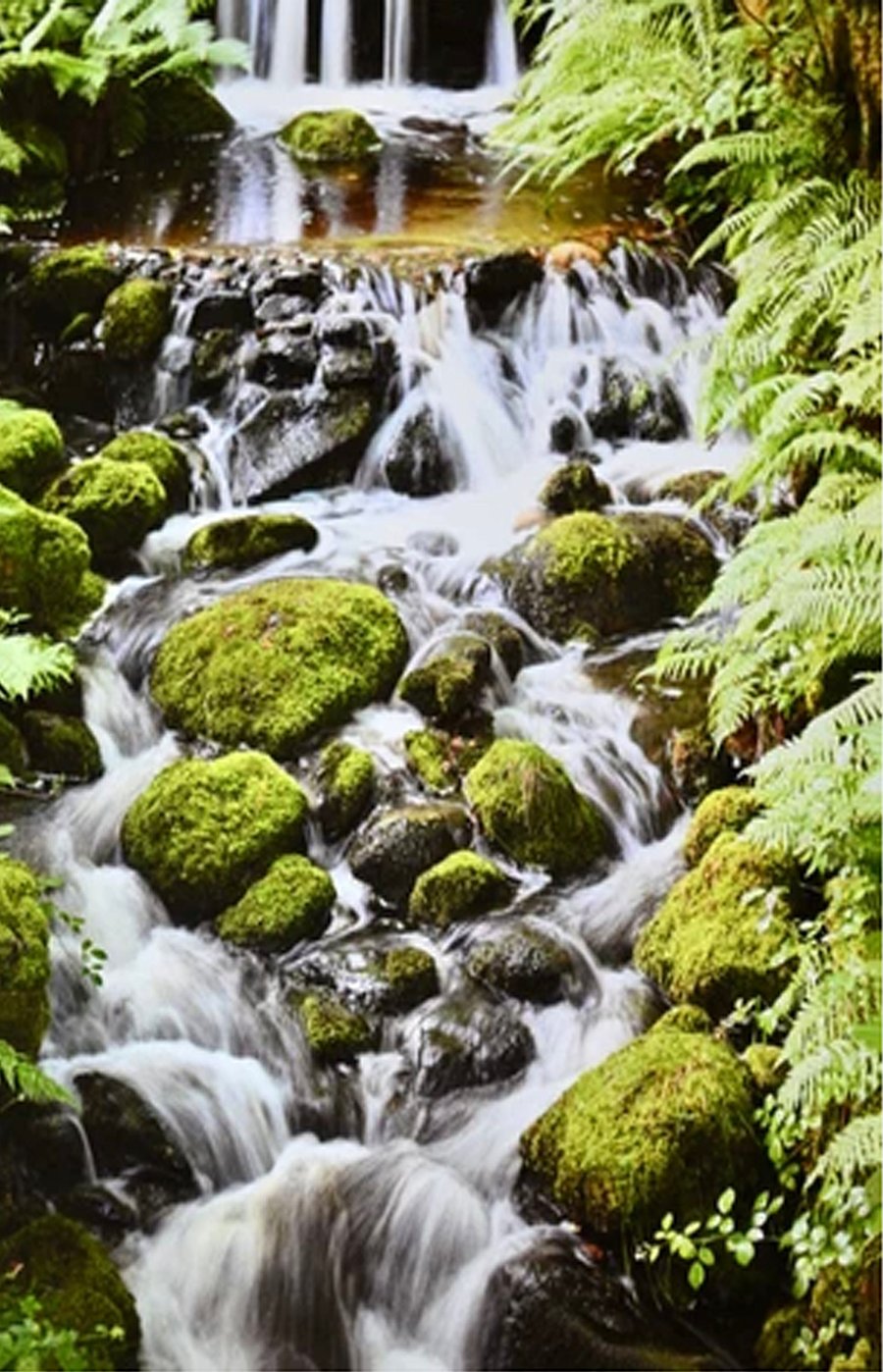 Greetings Card. A Waterfall and mossy river bou... - Folksy