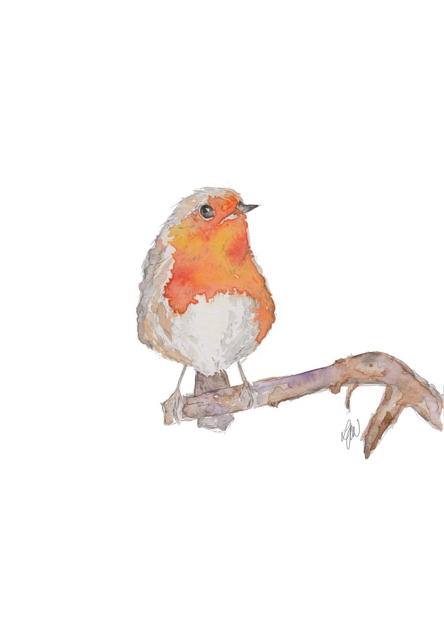 Robin watercolour print - Folksy