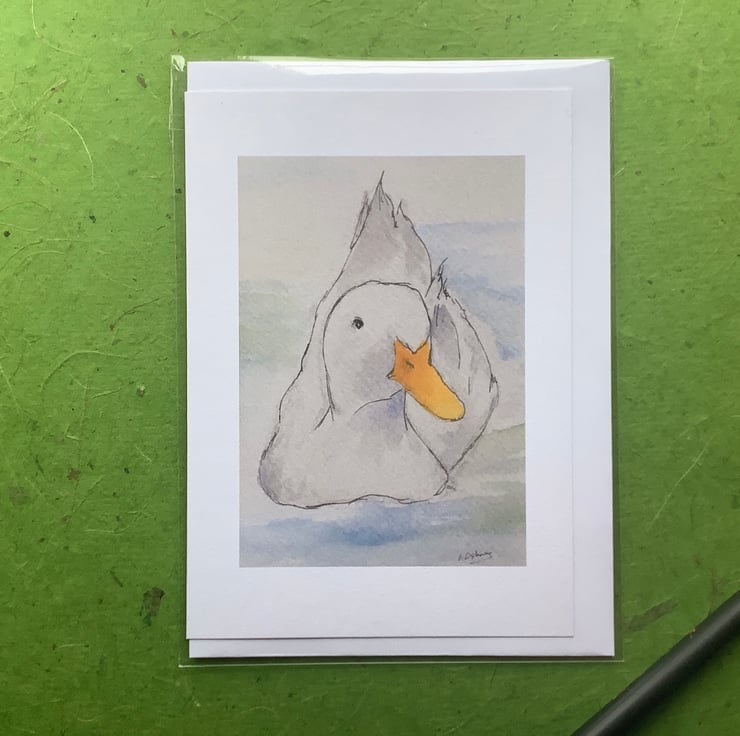 Duck - greetings card. Blank for your own message. - Folksy