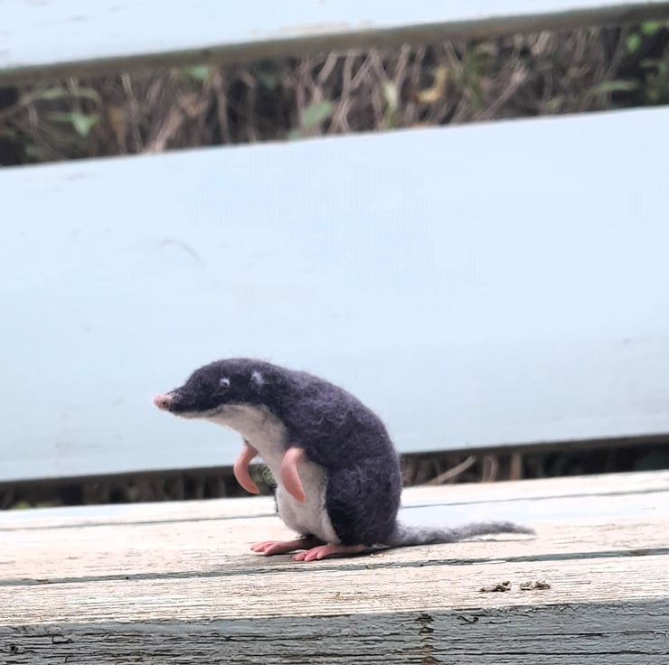 Water Shrew needle felted soft sculpture - Folksy