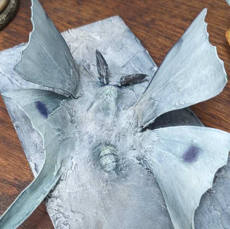 Moth and Wall Sculpture - Folksy