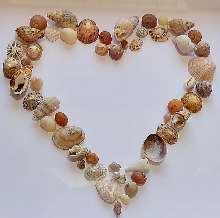 Cornish mixed shell heart framed wall art - Folksy