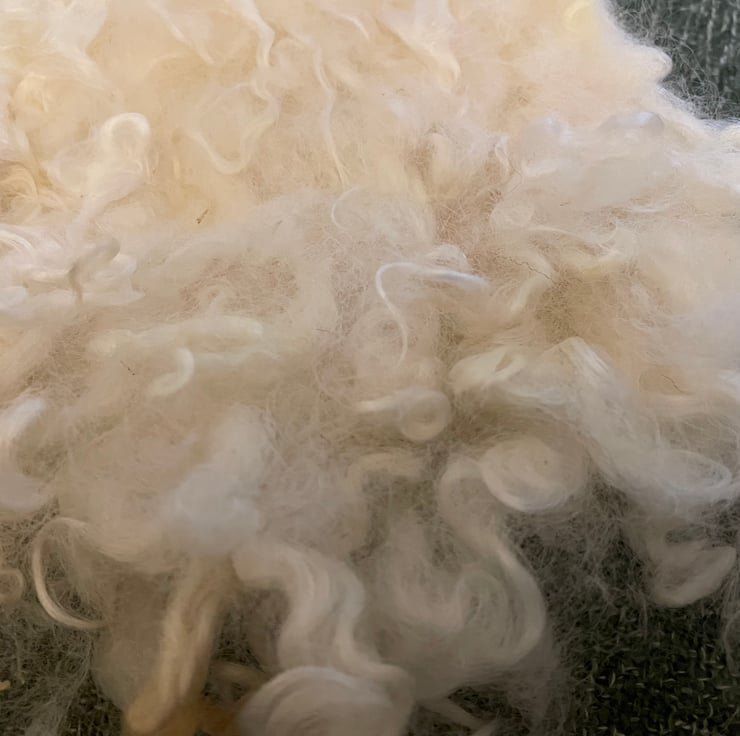 Needle felted sheep. wall hanging sheep,animal,... - Folksy