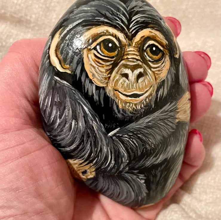 Monkey hand painted pebble garden rock art wild... - Folksy