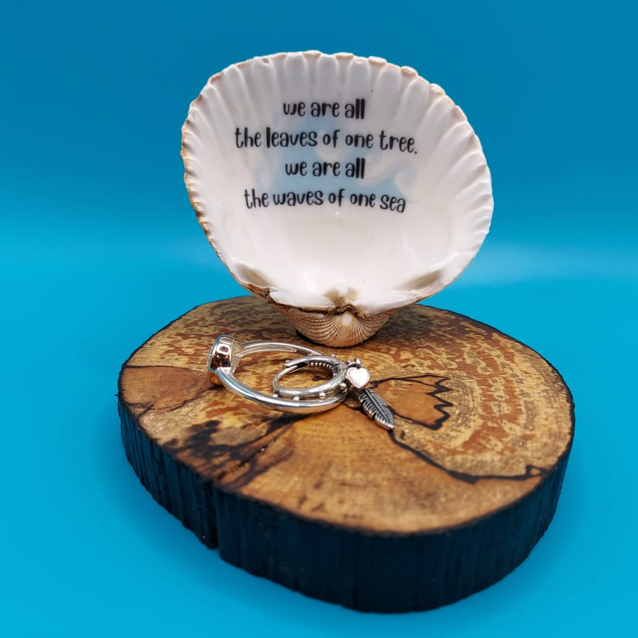 inspiring quote inside seashell on beautiful sp... - Folksy