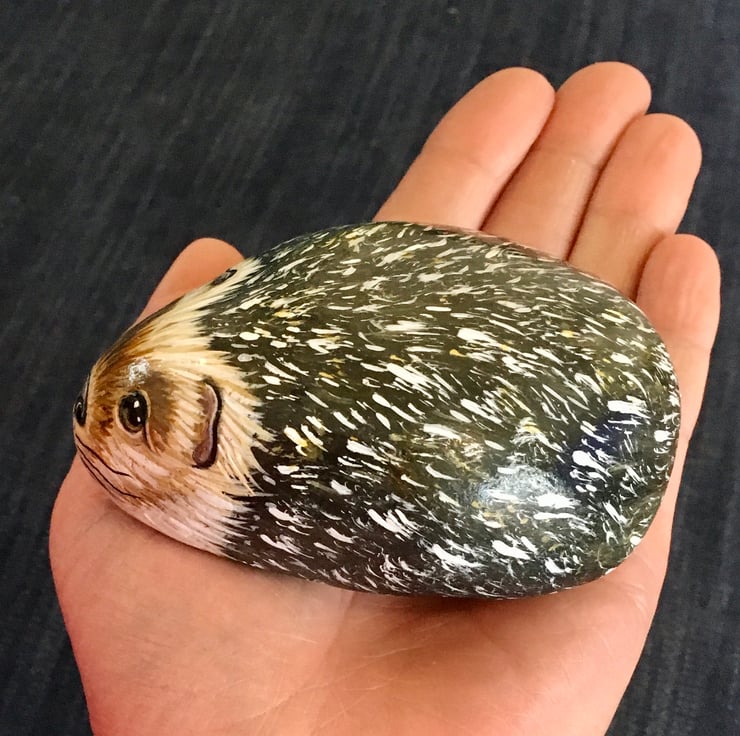 Hedgehog painted pebble garden rock art stone p... - Folksy