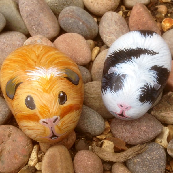 Guinea pigs hand painted on cobble rock - Folksy