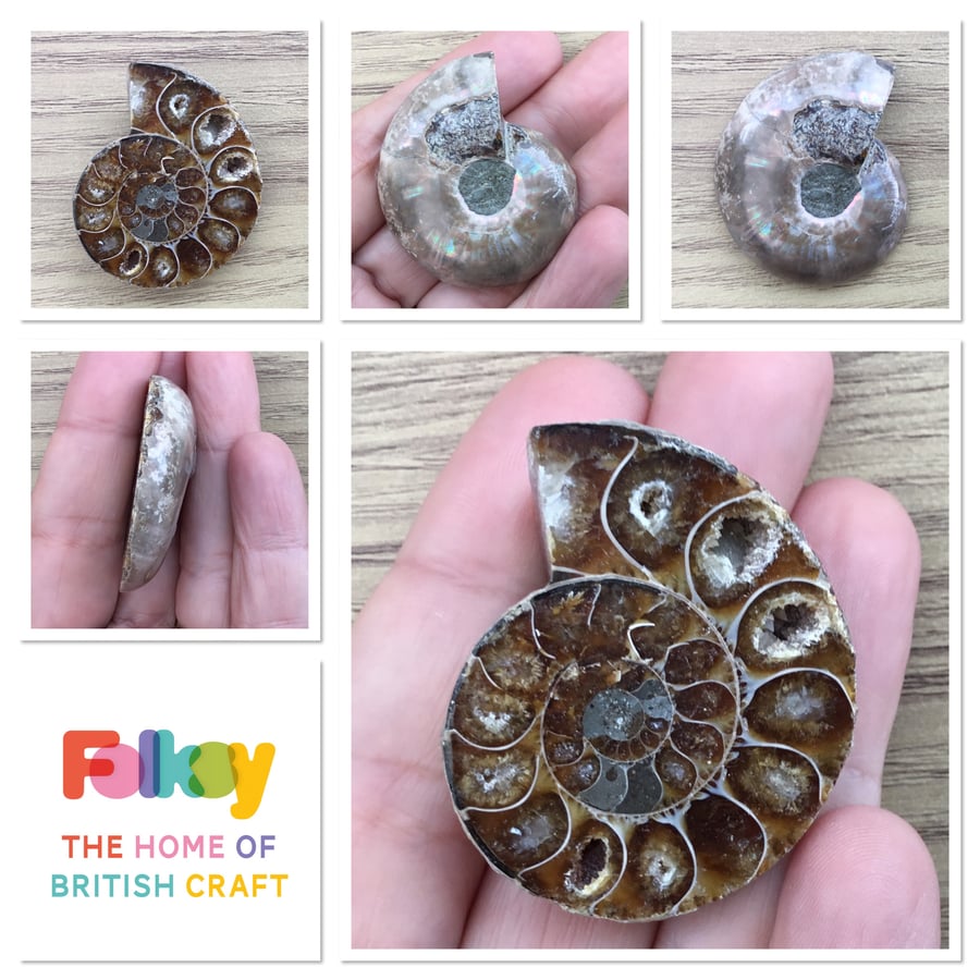 Lovely Medium Half Polished Ammonite for Jewell... - Folksy