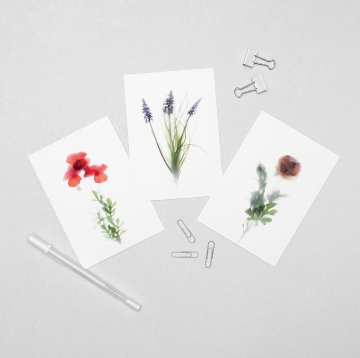 Set of 12 floral postcard with assorted flowers - Folksy