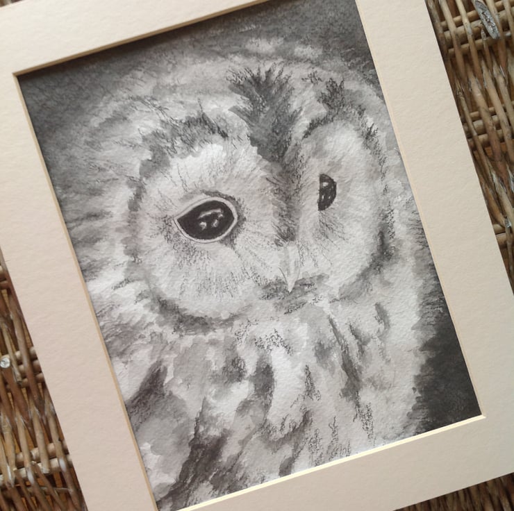 'The Owl' Original graphite watercolour - Folksy