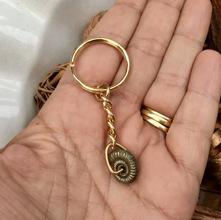 Small Prestige Golden Pyrite Ammonite Fossil Ke... - Folksy