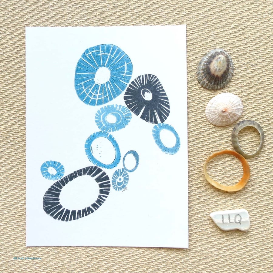 Modern contemporary style seaside limpet shell ... - Folksy