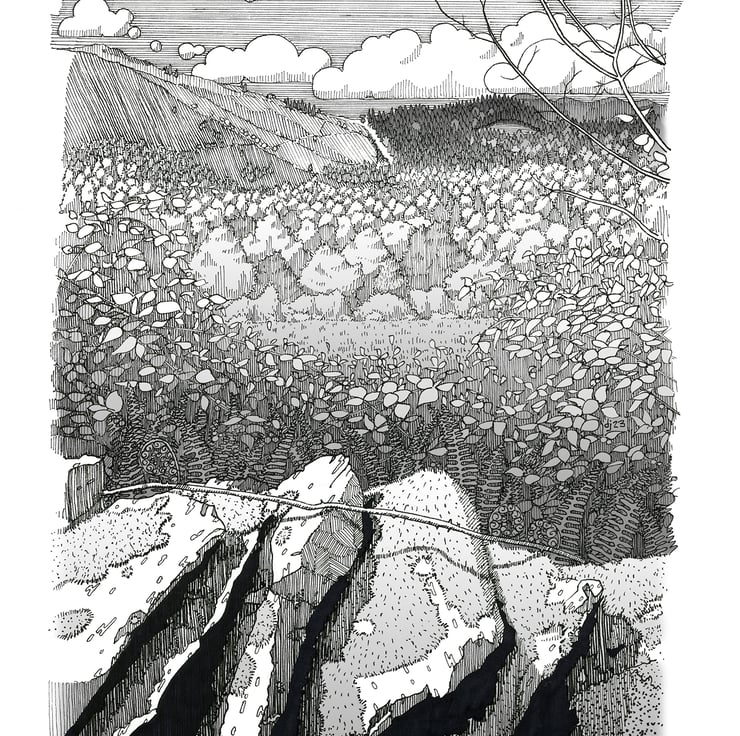 A4 print of Pen & ink line drawing 'By Ryda... - Folksy