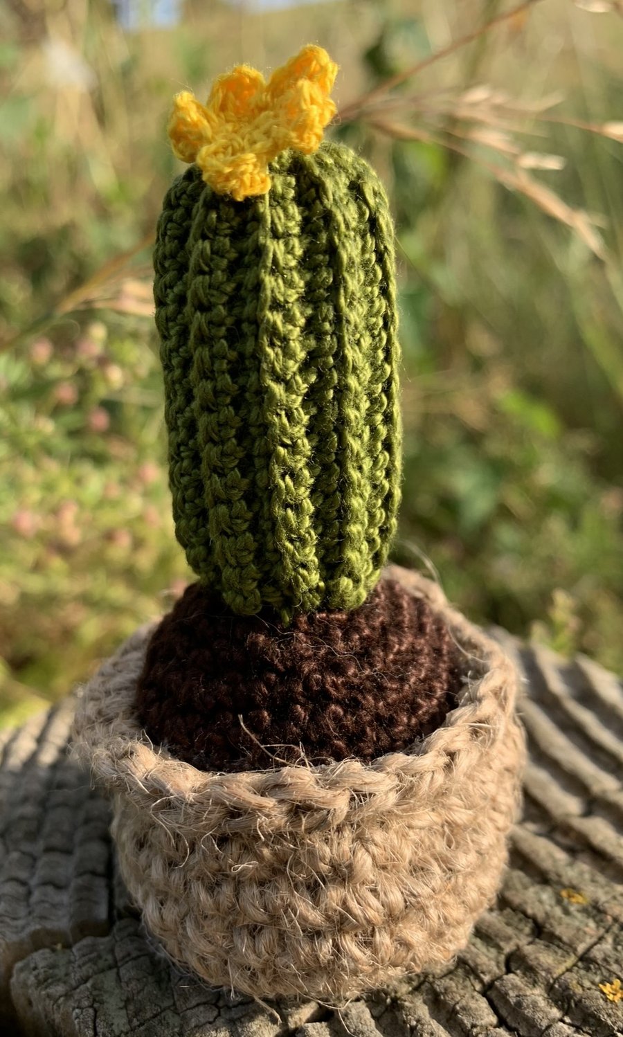 Mini Crochet Cactus - Folksy