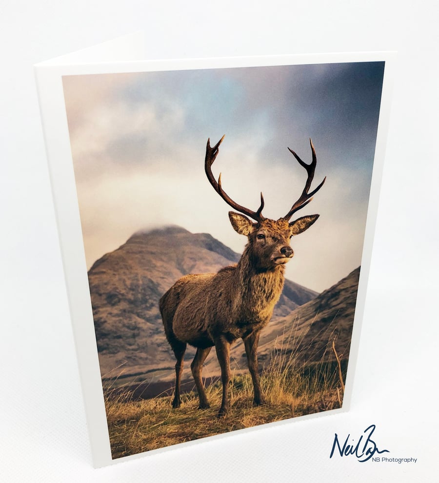 Scottish Highlands Red Deer Stag - Scotland Gre... - Folksy