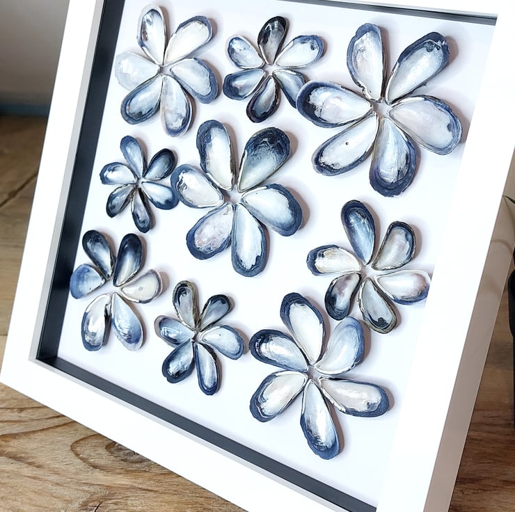Cornish mussel shell flowers - Folksy