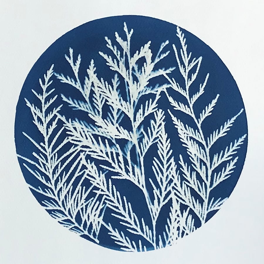 Cyanotype wall art, in Full Circle - Folksy