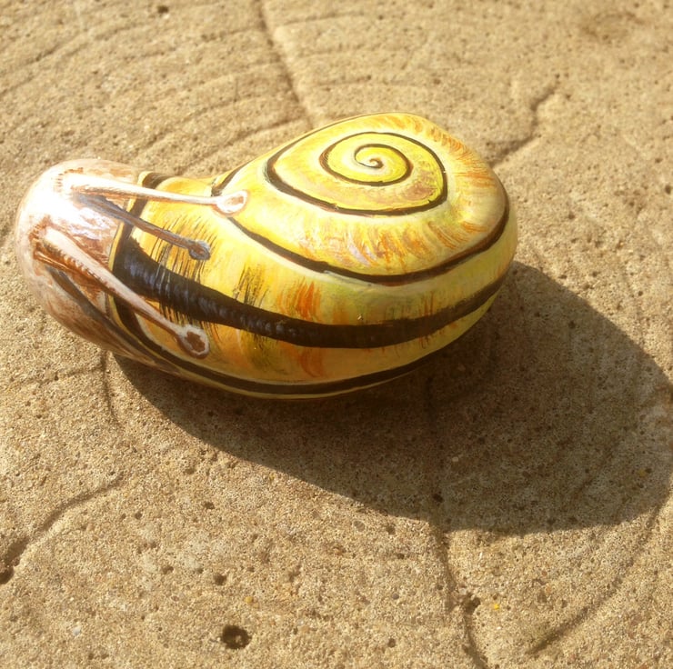 Snail hand painted on stone - Folksy