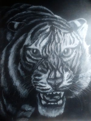 Tiger engraving on a glass panel - Folksy