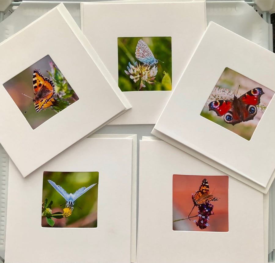 Butterfly greeting cards pack of 5 - Folksy