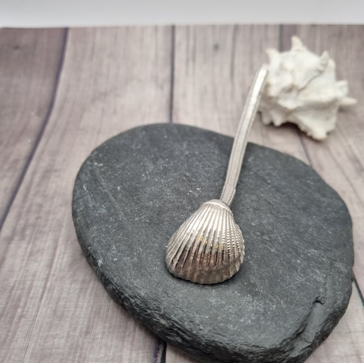 Real seashell made into spoon and preserved in ... - Folksy