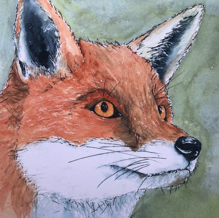 A4 or A3 mounted print of Freathy Fox from my o... - Folksy