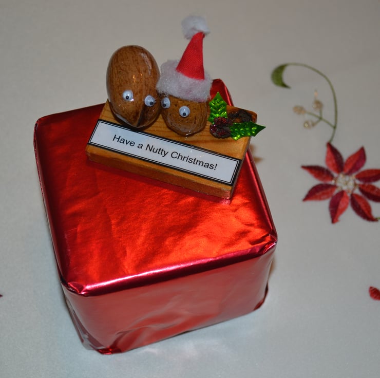 Nutty Gift - Christmas - Folksy