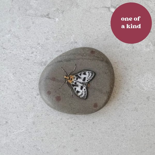 Original Art Moth Hand Painted Stone Pebble 'Sm... - Folksy