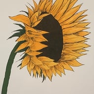 Sunflower. Signed print. Digital illustration. ... - Folksy