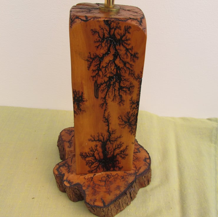 'Tulip' - Wooden Live Edge Table Lamp - Folksy